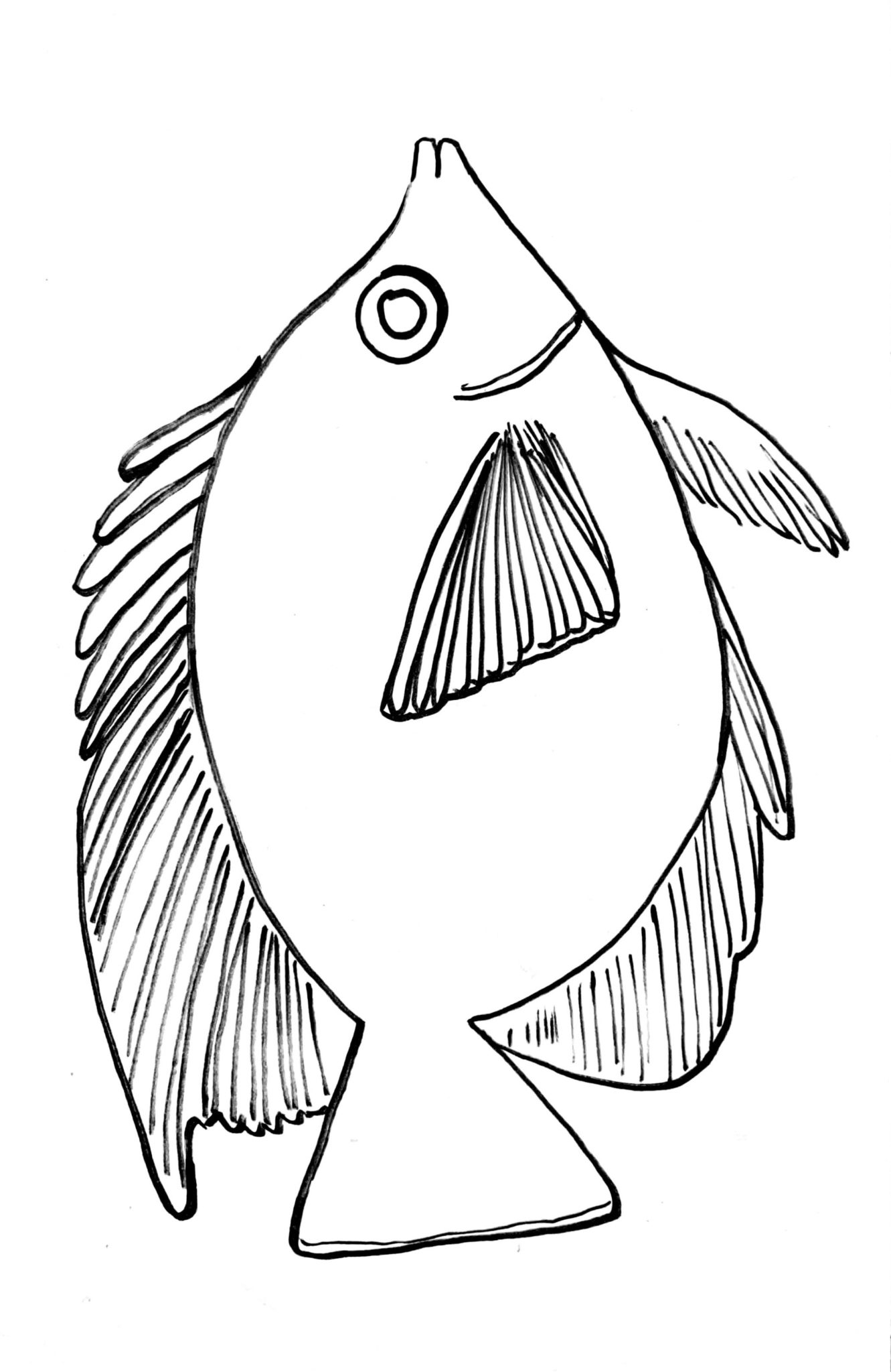 School-of-Fish-drawing | Rebecca Zdybel – Myrtle Beach Artist and Art ...